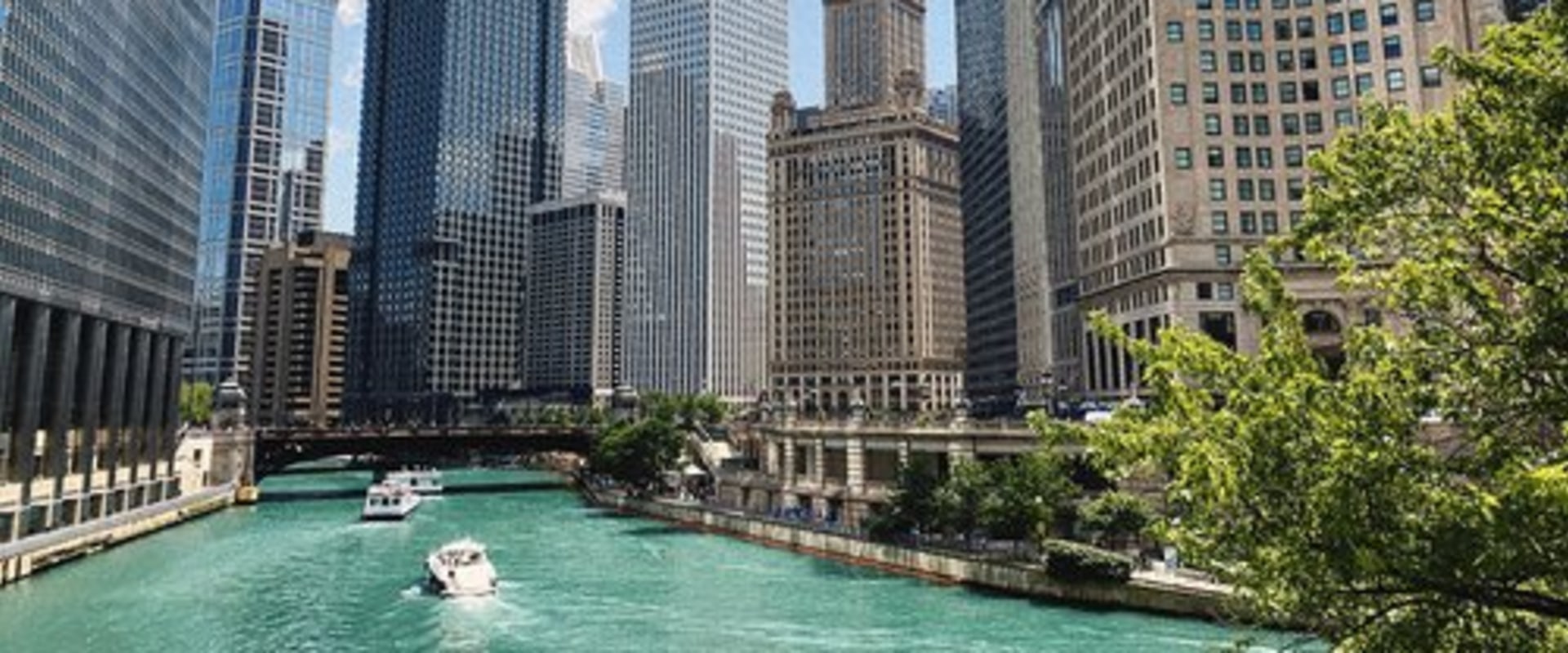 The Ultimate Guide to Shopping in Chicago, IL